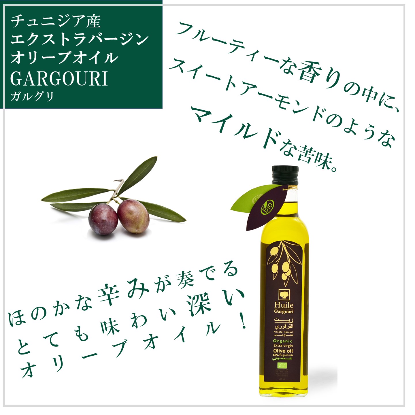 Gargouri ガルグリ EXVオリーブオイル | BIO ARENA | チュニジア直輸入オリーブオイル専門店